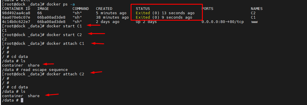 Tìm hiểu cơ bản về Docker[Phần 4] - Nhan Hoa Knowledgebase