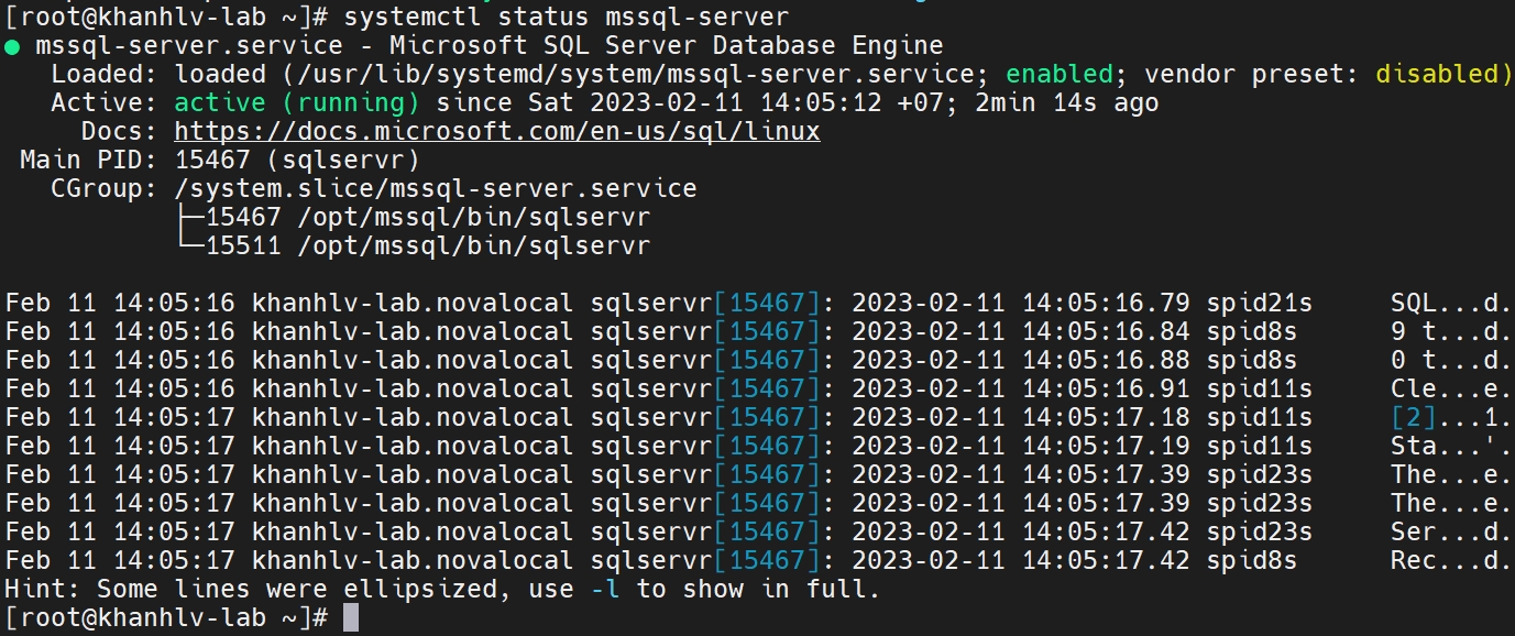 Hướng dẫn cài đặt SQL Server trên Linux - Nhan Hoa Knowledgebase