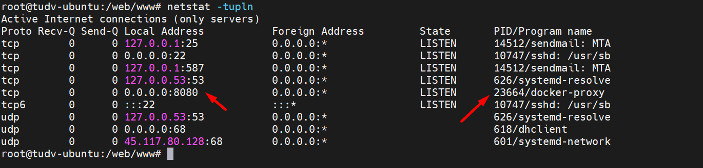 Nginx Reverse Proxy Container Apache Trên Ubuntu 2204 Nhan Hoa Knowledgebase