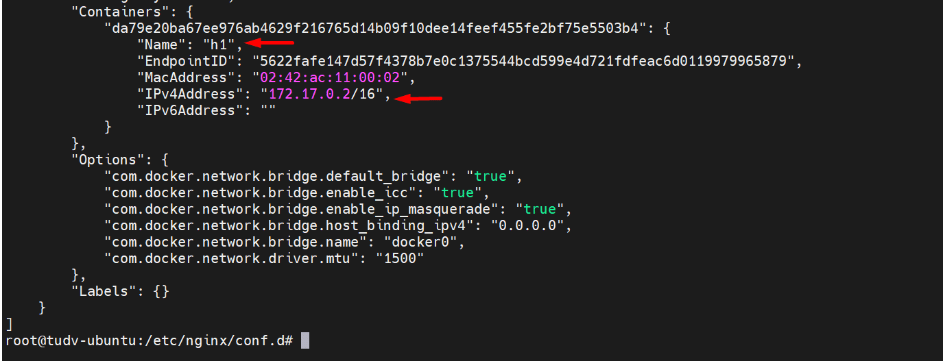 Nginx Reverse Proxy Container Apache Trên Ubuntu 2204 Nhan Hoa Knowledgebase
