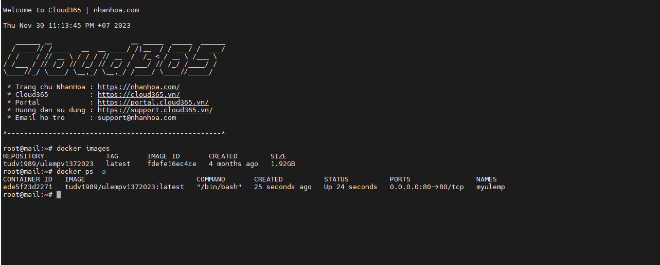 Hướng dẫn Dump Database từ Container trên Docker - Nhan Hoa Knowledgebase